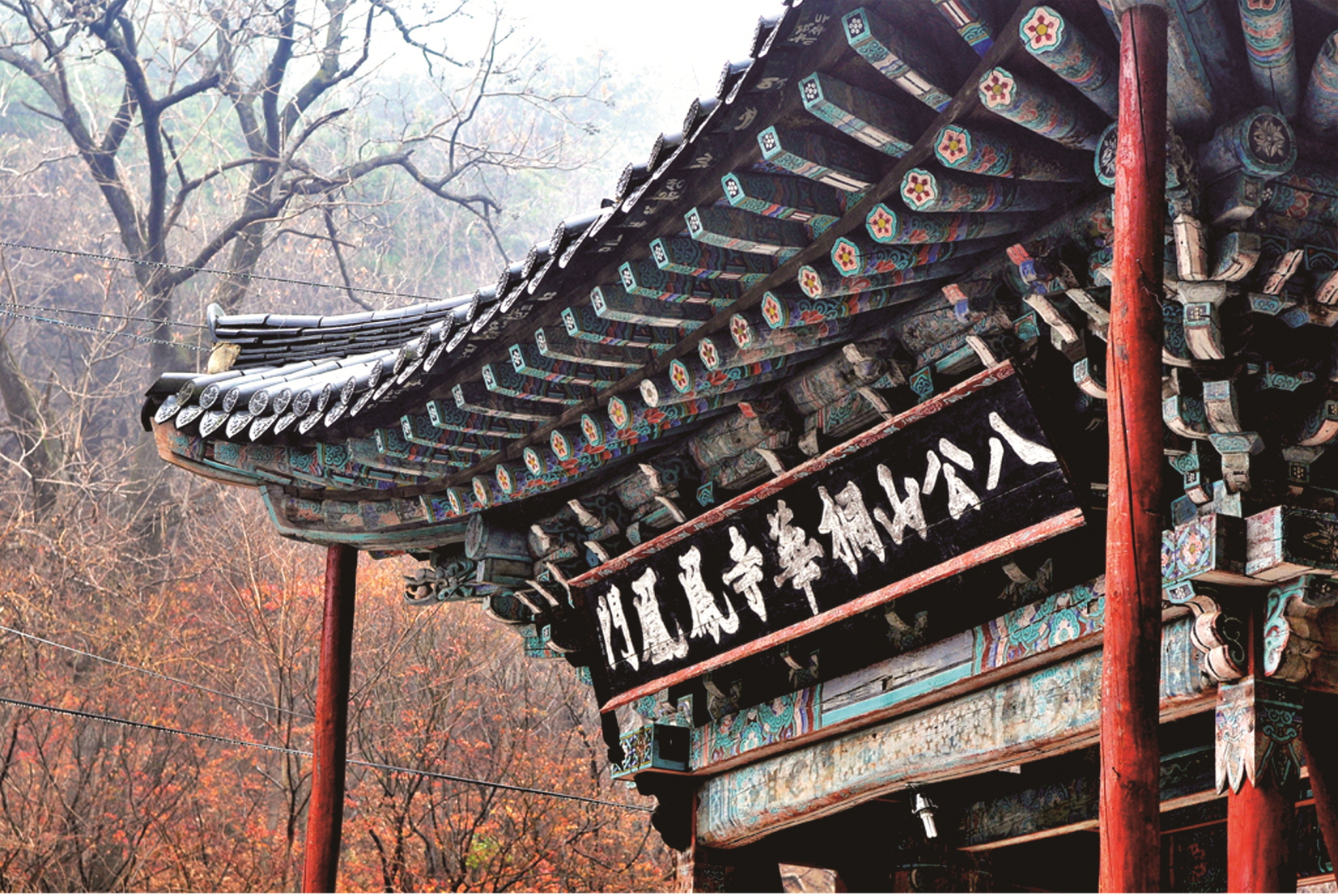 DAEGU – SEOUL Magazine