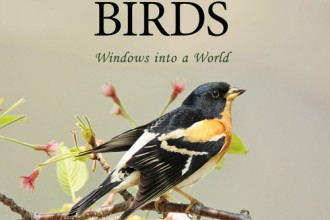 Seongsu-dong Style | SEOUL Magazine