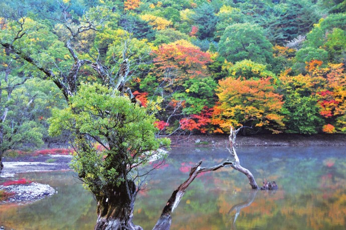 Cheongsong – SEOUL Magazine