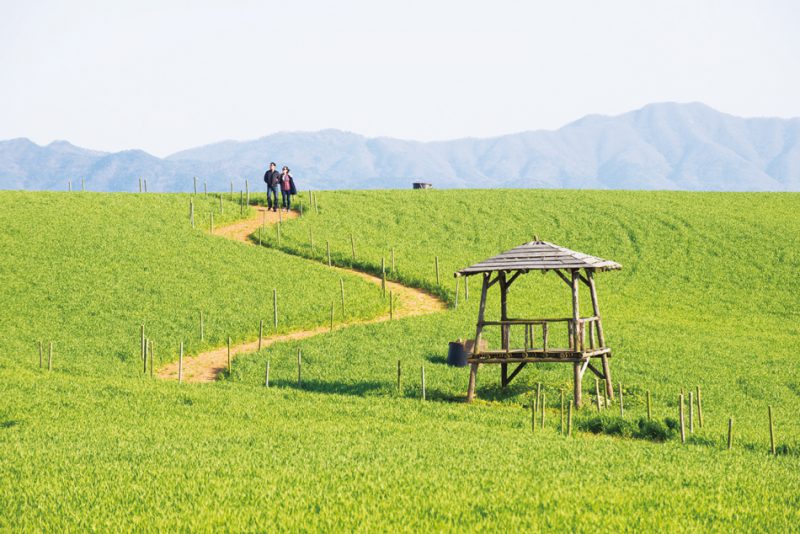 Gochang – SEOUL Magazine