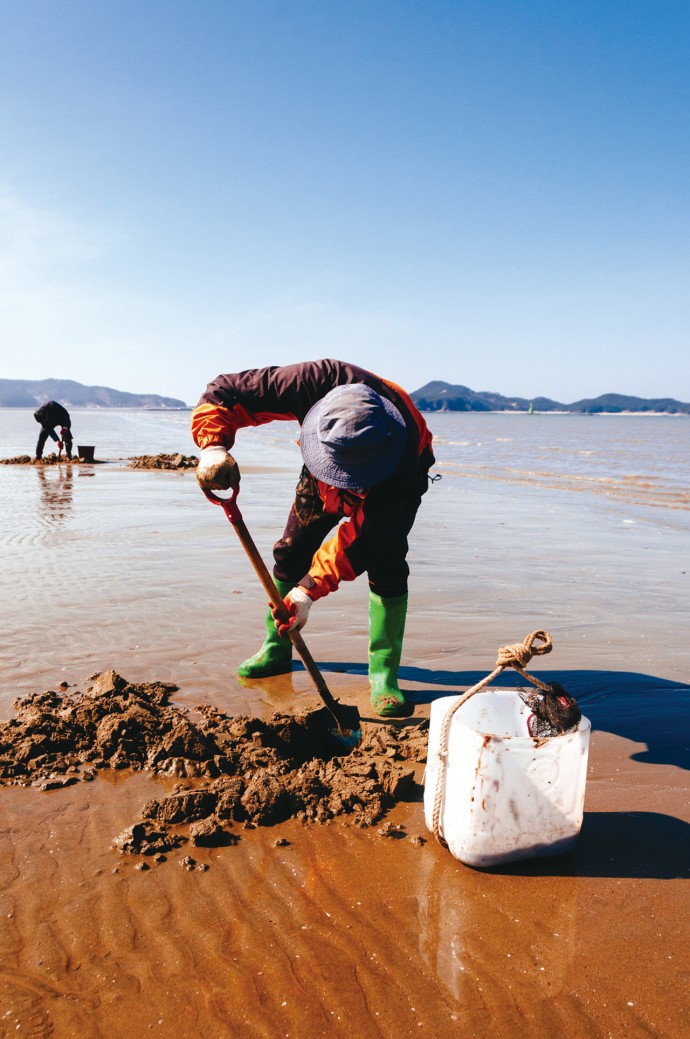 Taean – SEOUL Magazine