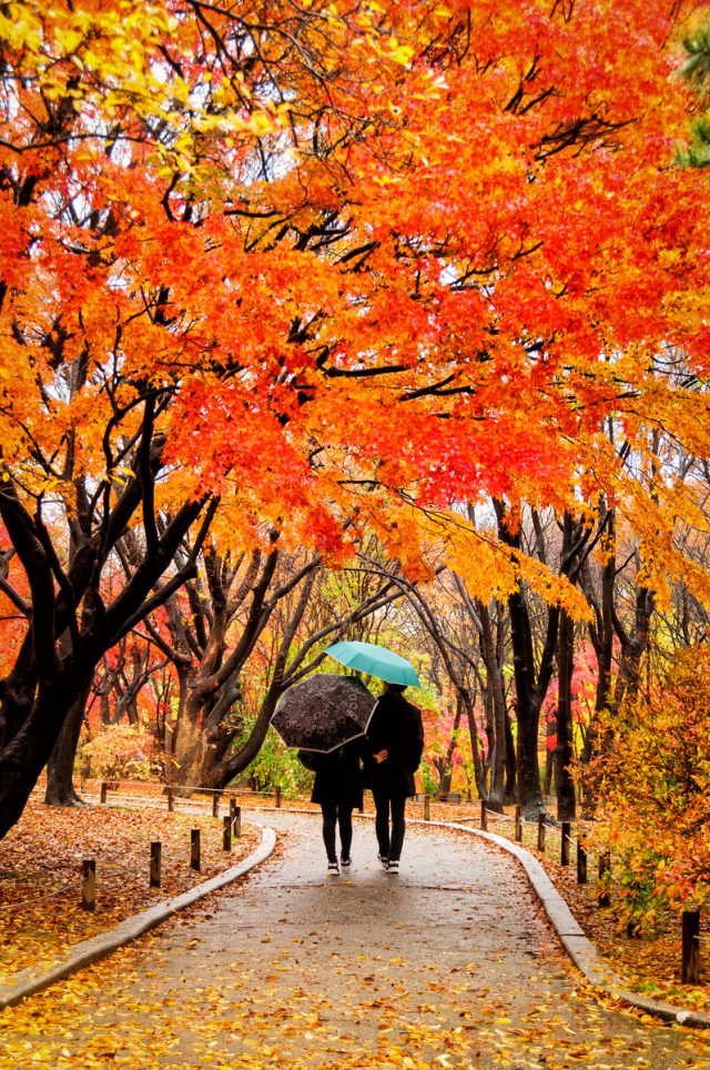 Autumn colors, Changgyeonggung Palace – SEOUL Magazine