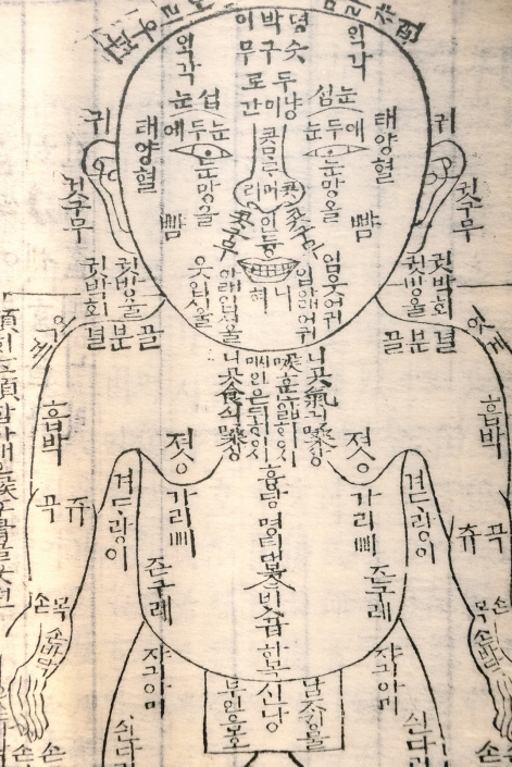 Anatomy Lesson – SEOUL Magazine